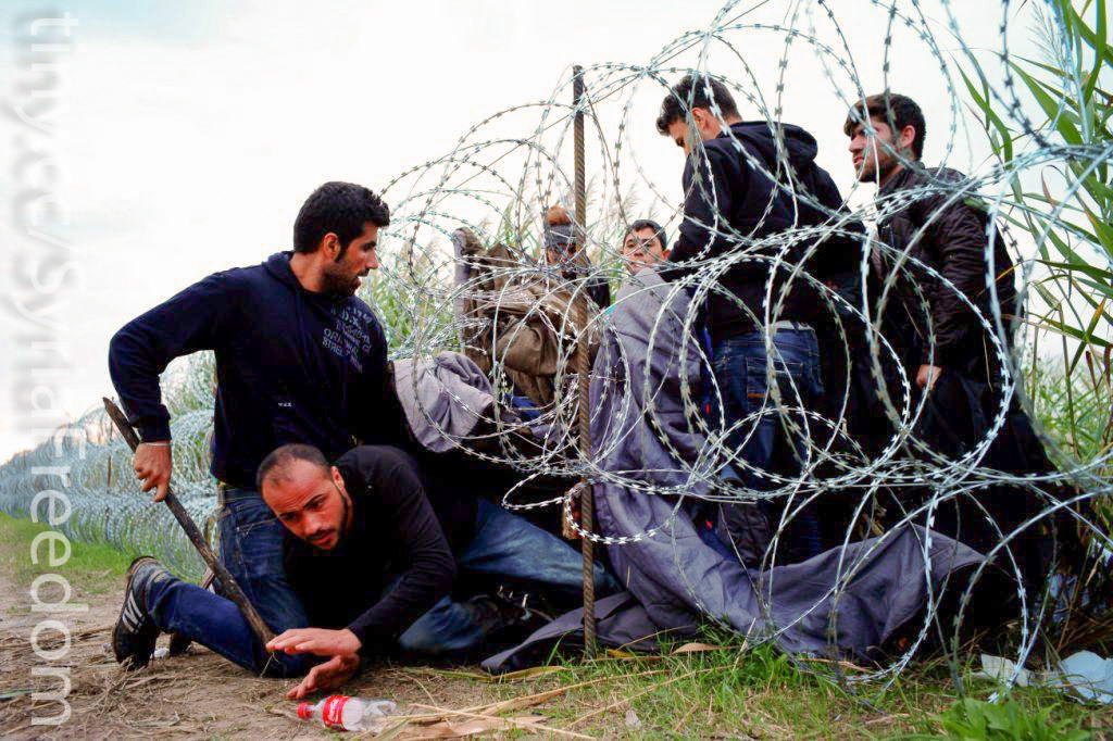 The Syrian Refugee Crisis & The Two Europes – Peace Research Institute ...